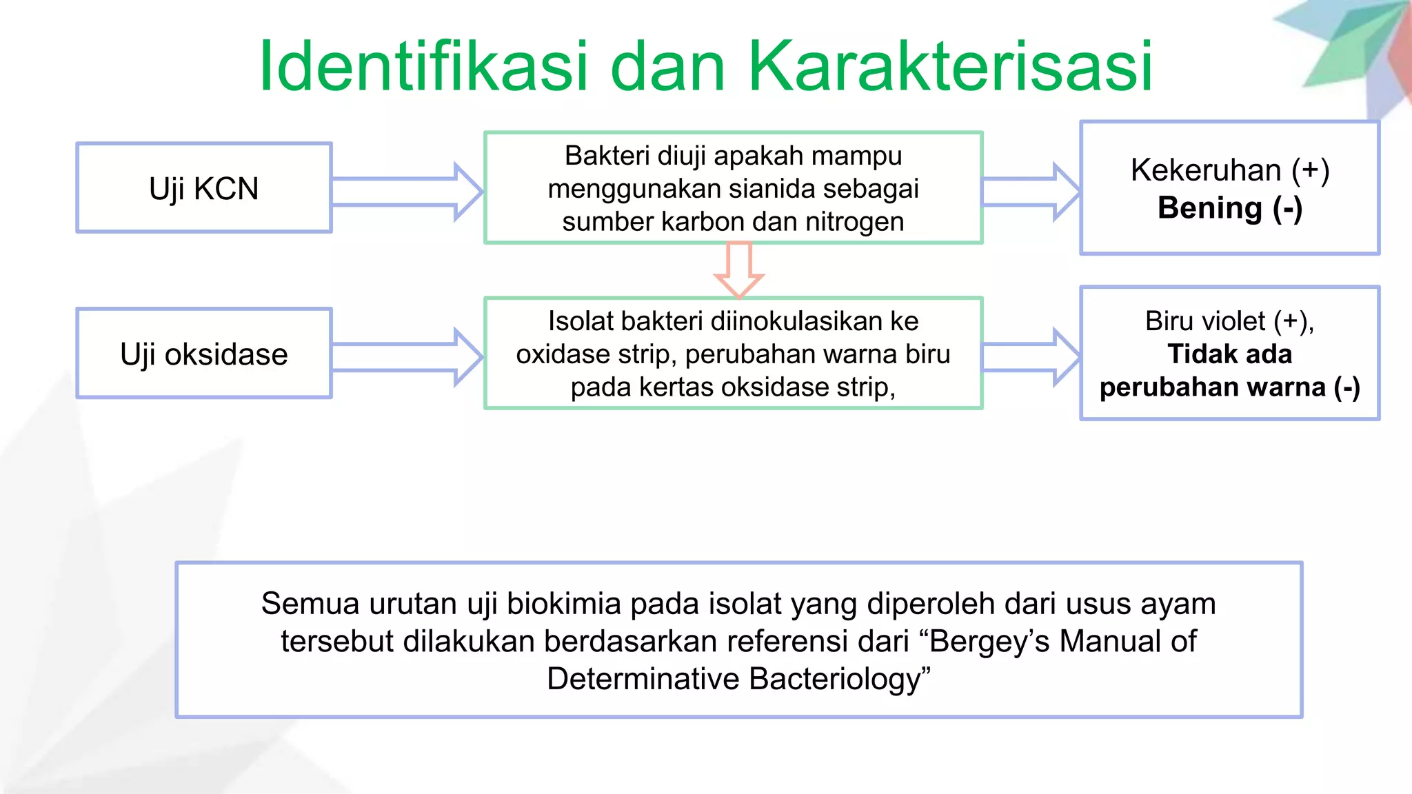Isolasi Bakteri | PPTX