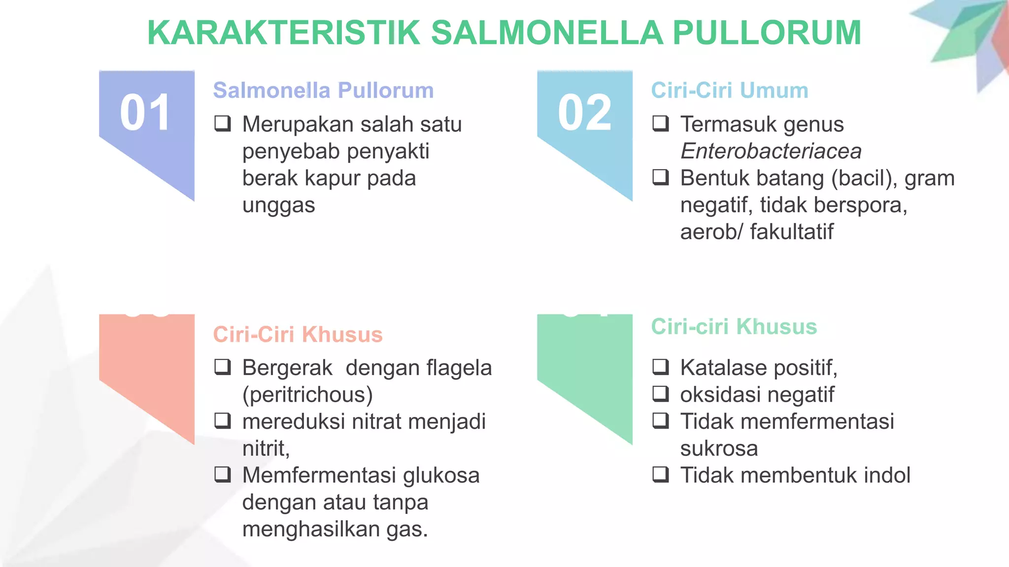 Isolasi Bakteri | PPTX