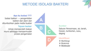 Isolasi Bakteri | PPT