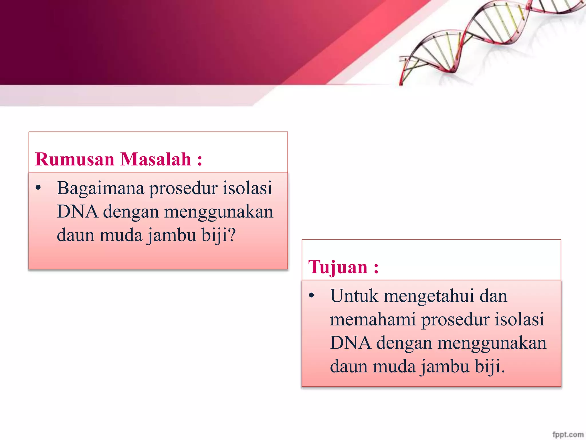 PPT Genetika: Isolasi DNA Secara Sederhana | PPTX