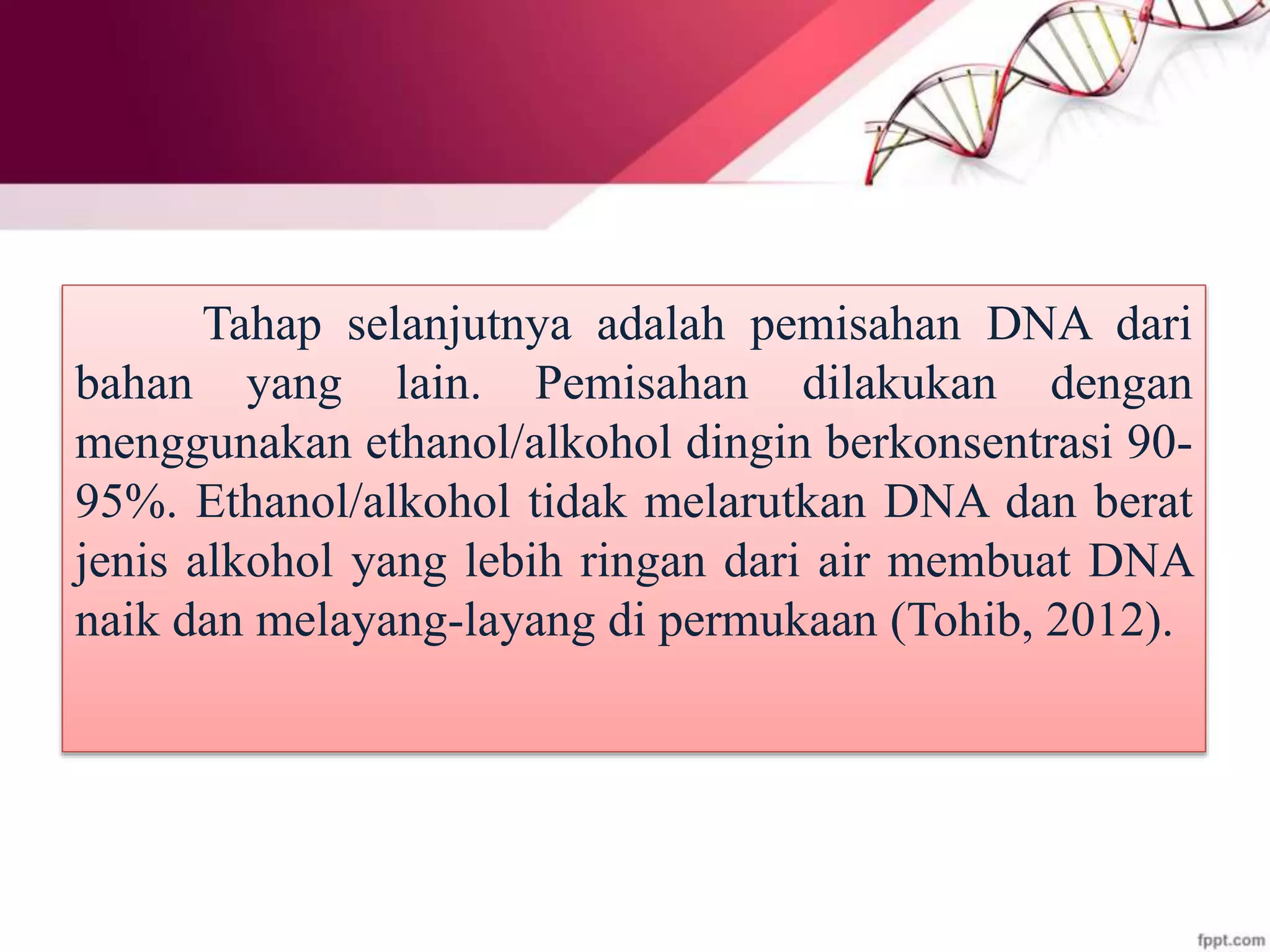 PPT Genetika: Isolasi DNA Secara Sederhana | PPTX
