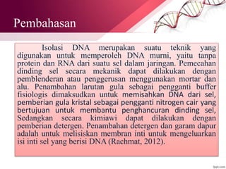 PPT Genetika: Isolasi DNA Secara Sederhana | PPTX