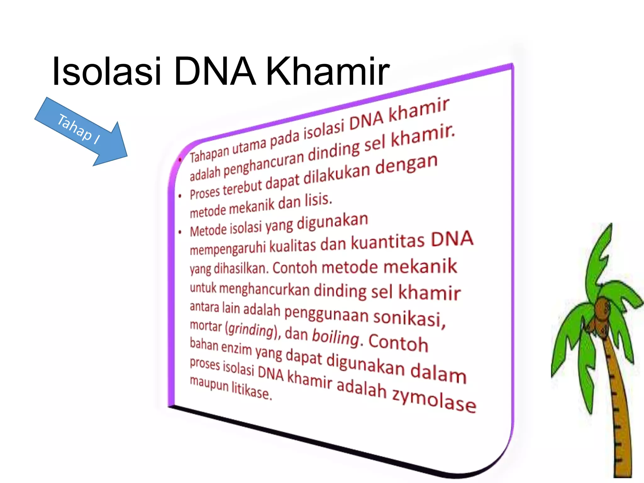 Isolasi DNA dan RNA dari mikroba | PPTX