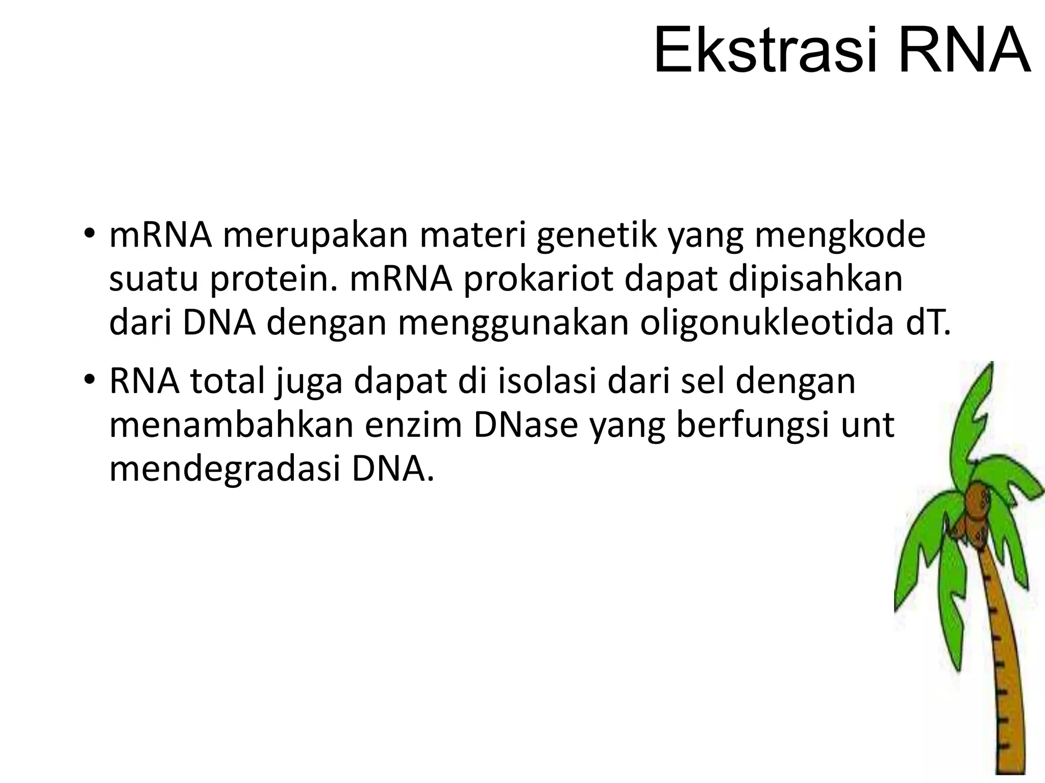 Isolasi DNA dan RNA dari mikroba | PPTX