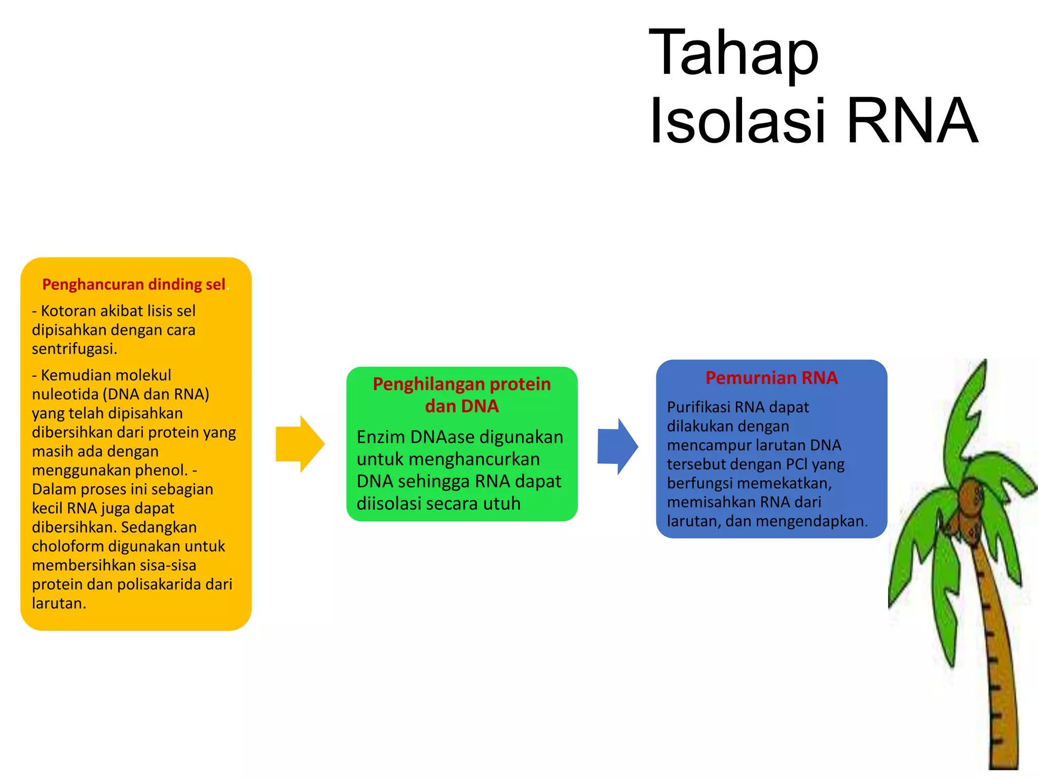 Isolasi DNA dan RNA dari mikroba | PPTX