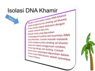 Isolasi DNA dan RNA dari mikroba | PPTX