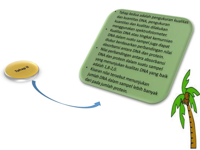 Isolasi DNA dan RNA dari mikroba | PPTX