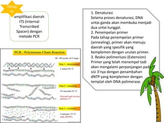 Isolasi DNA dan RNA dari mikroba | PPTX
