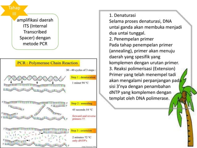 Isolasi DNA dan RNA dari mikroba | PPTX
