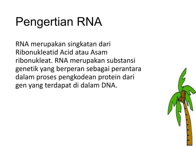 Isolasi DNA dan RNA dari mikroba | PPTX