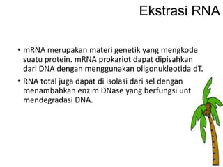 Isolasi DNA dan RNA dari mikroba | PPTX