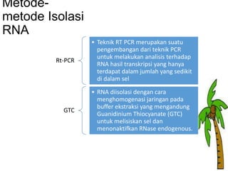 Isolasi DNA dan RNA dari mikroba | PPTX