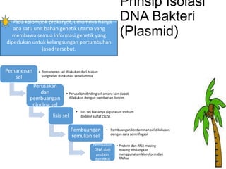 Isolasi DNA dan RNA dari mikroba | PPTX