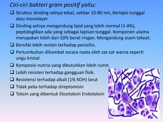 Ppt isolasi, identifikasi dan pewarnaan mikroorganisme | PPTX