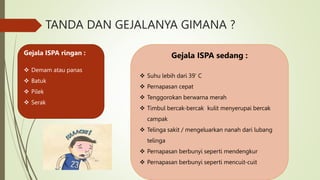 PPT ISPA infeksi saluran pernafasan atas | PPTX