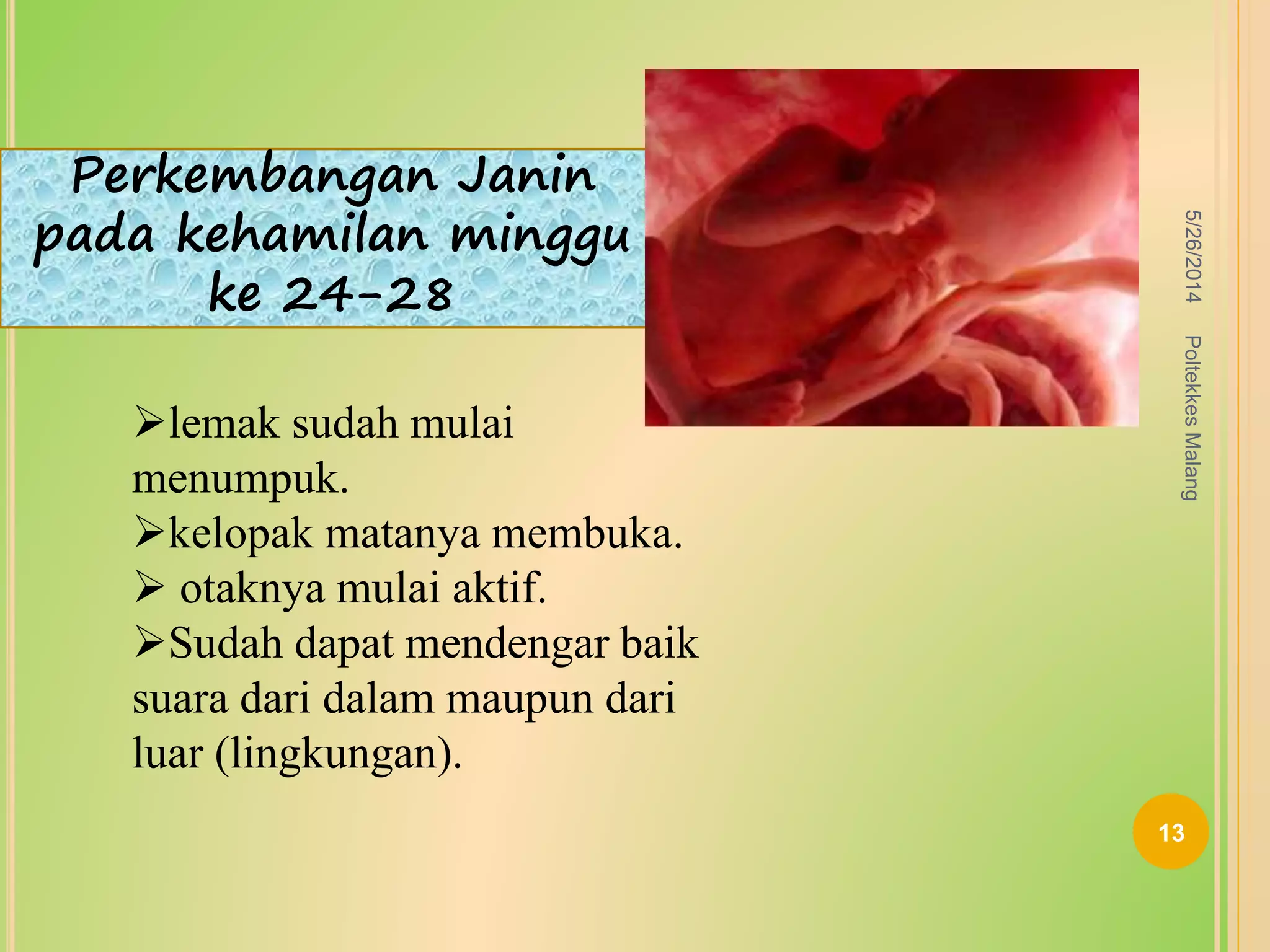 KEHAMILAN DAN PERKEMBANGAN JANIN PPT | PPTX