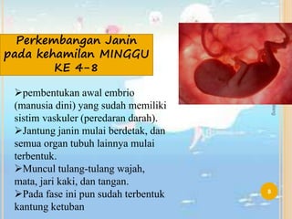 KEHAMILAN DAN PERKEMBANGAN JANIN PPT | PPTX