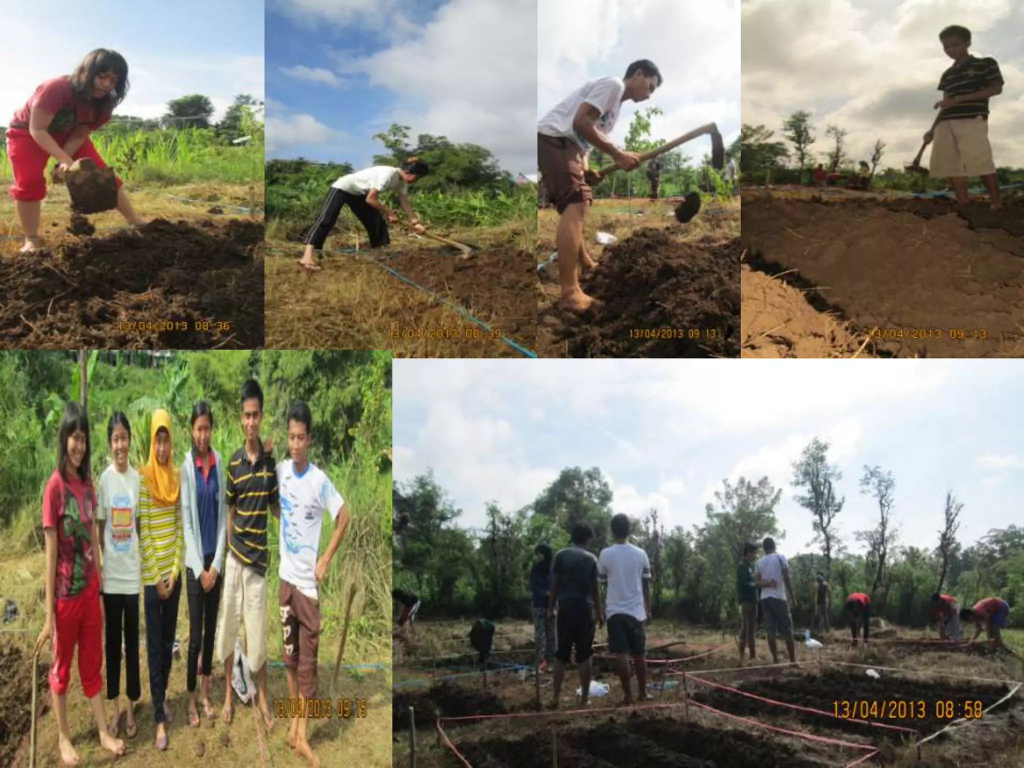 Pengenalan Jenis Rumput dan Legum | PPTX