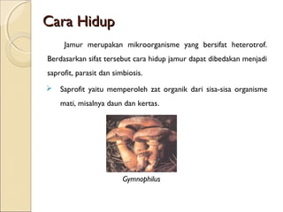 Ppt jamur | PPT