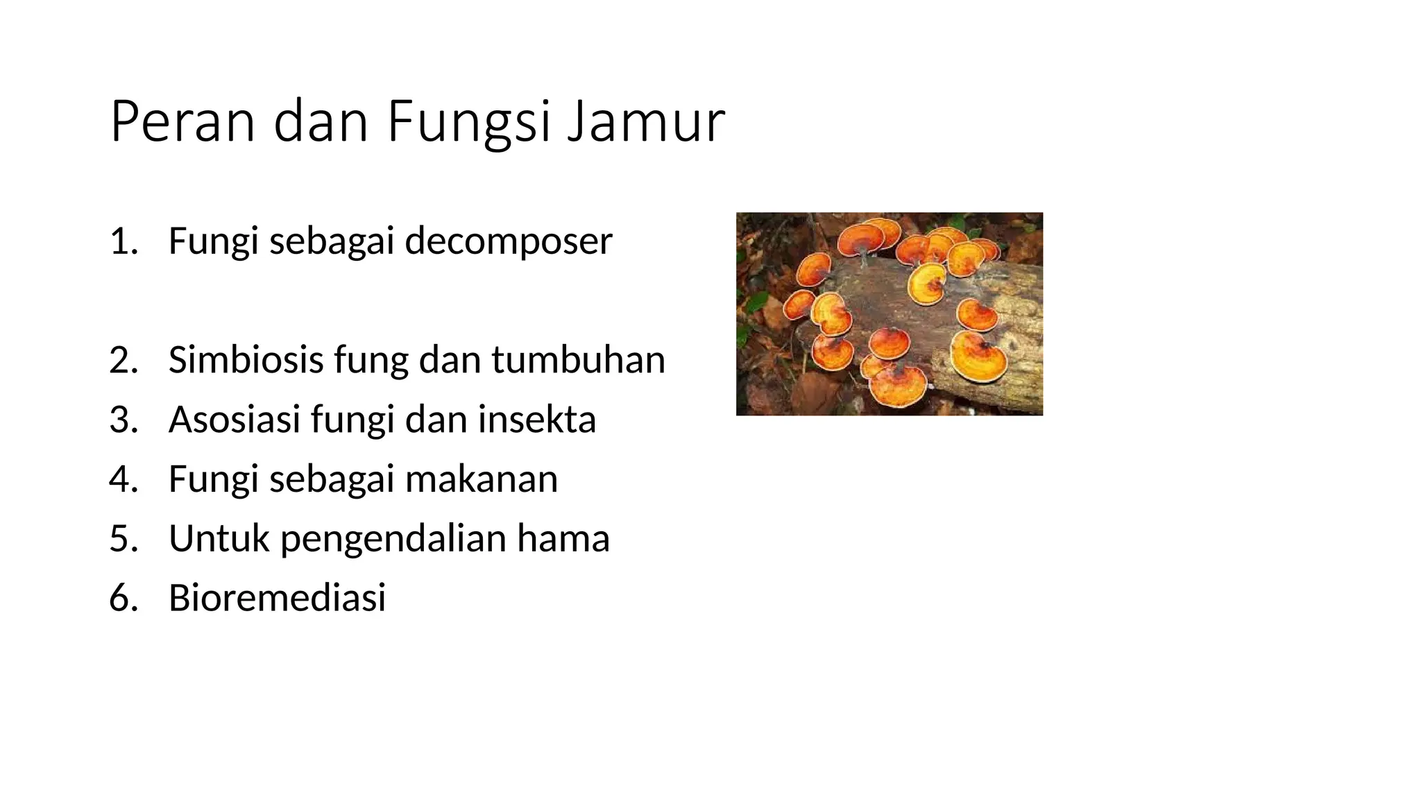 ppt jamur presentasi pendidddddddddddikan.pptx