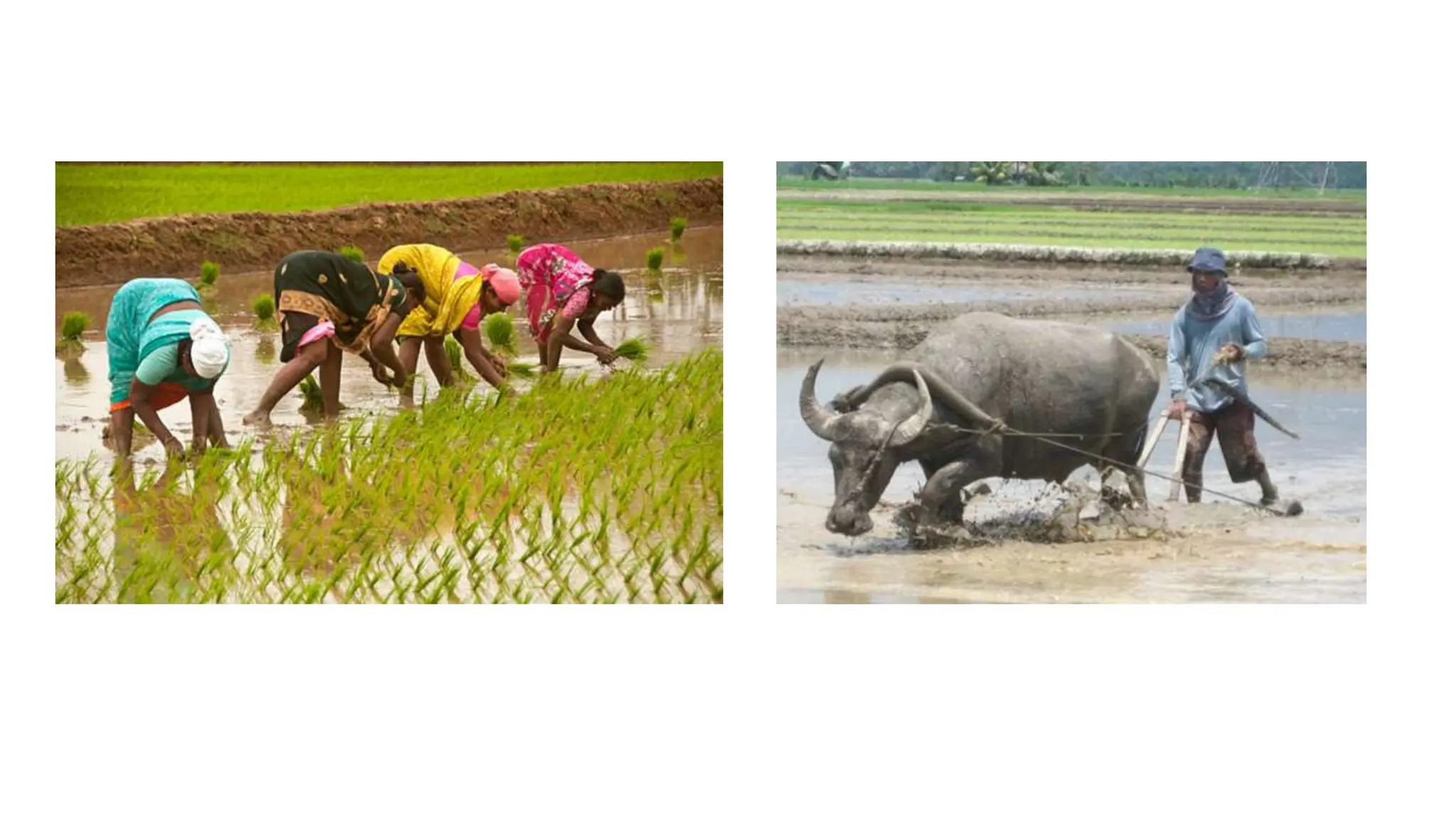 ppt_Jan09_2023_2ndQtr.pptx_Ang Paggawa bilang paglilingkod at ...