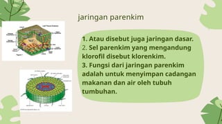 ppt jaringan yang menjelaskan jaringan pada tumbuhan | PPTX