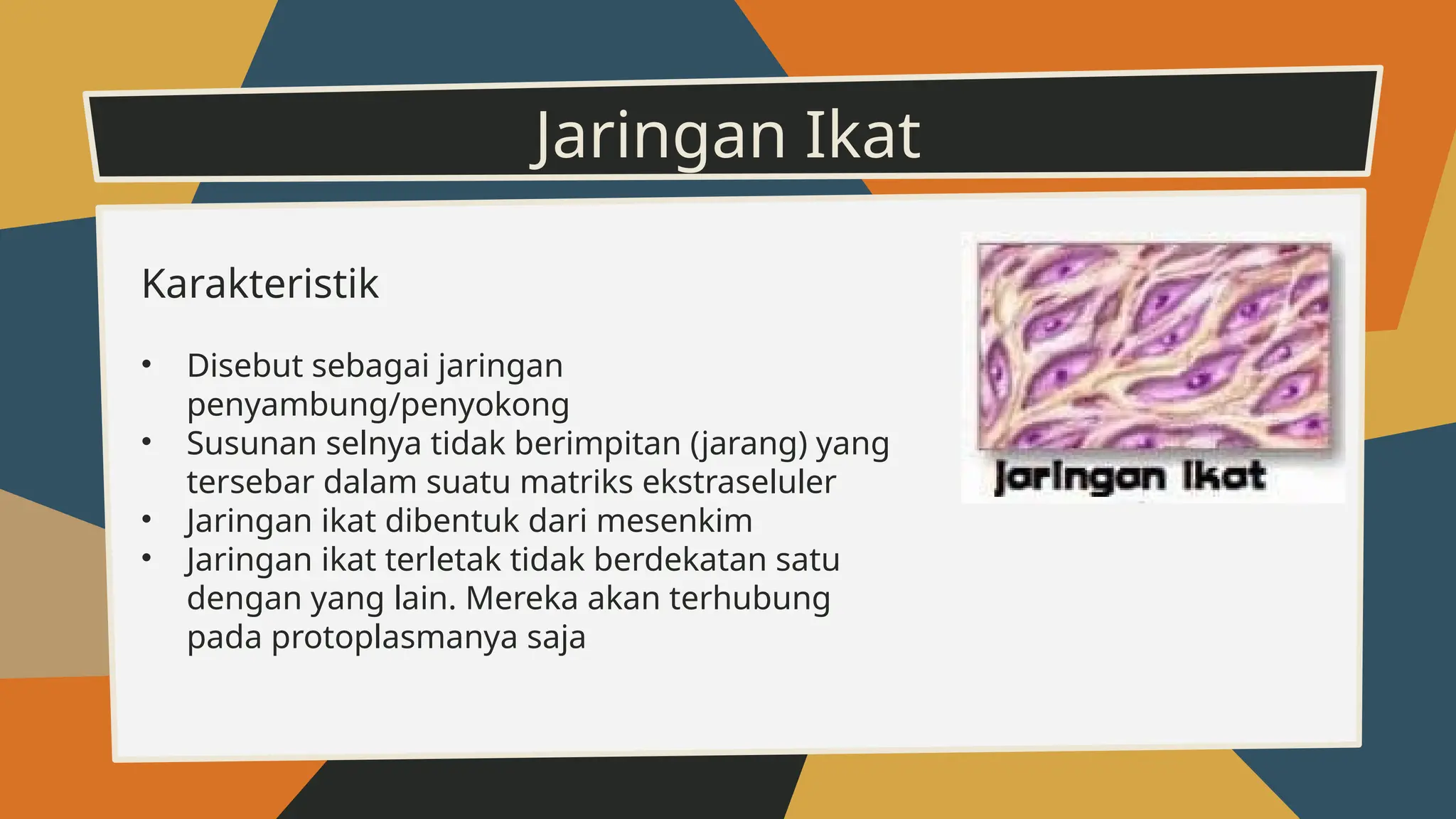 PPT Jaringan Hewan kelas XI Jaringan Otot.pptx