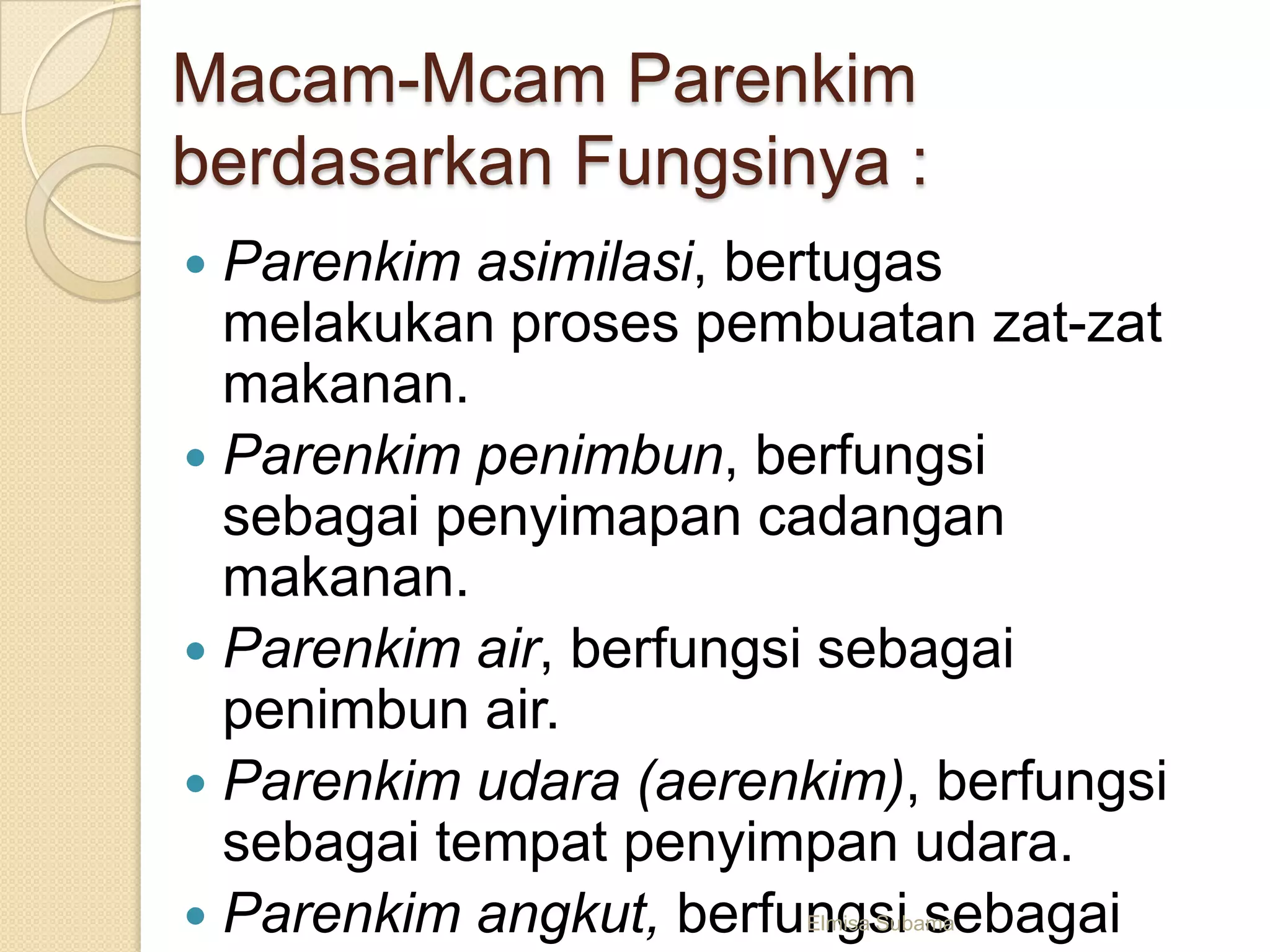 Ppt jaringan parenkim copy | PPTX