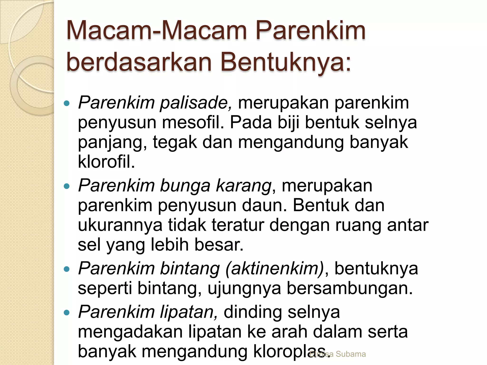 Ppt jaringan parenkim copy | PPTX