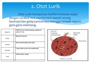 PPT JAR OTOT.pptx
