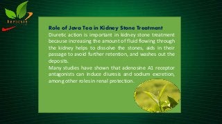 HOW JAVA TEA IS POTENTIAL TREATMENT FOR KIDNEY STONES? | PPT | Free ...