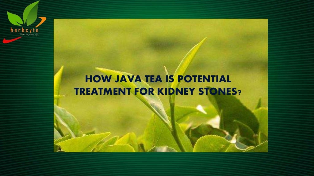 HOW JAVA TEA IS POTENTIAL TREATMENT FOR KIDNEY STONES? | PPT
