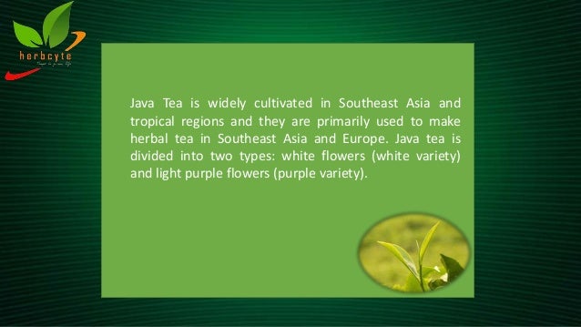 HOW JAVA TEA IS POTENTIAL TREATMENT FOR KIDNEY STONES? | PPT | Free ...