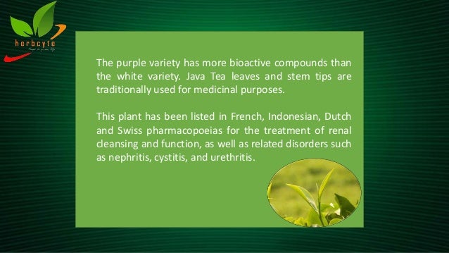 HOW JAVA TEA IS POTENTIAL TREATMENT FOR KIDNEY STONES? | PPT