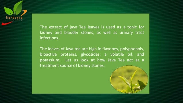HOW JAVA TEA IS POTENTIAL TREATMENT FOR KIDNEY STONES? | PPT | Free ...
