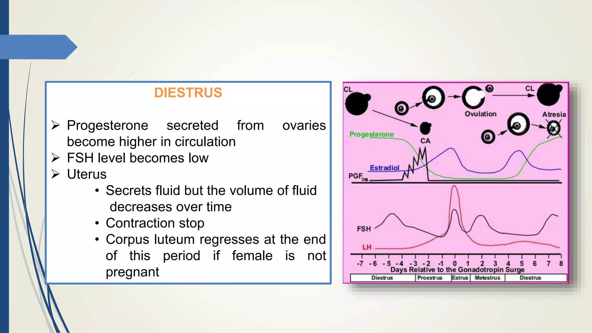 Estrous Cycle and Its Hormonal Regulation | PPTX