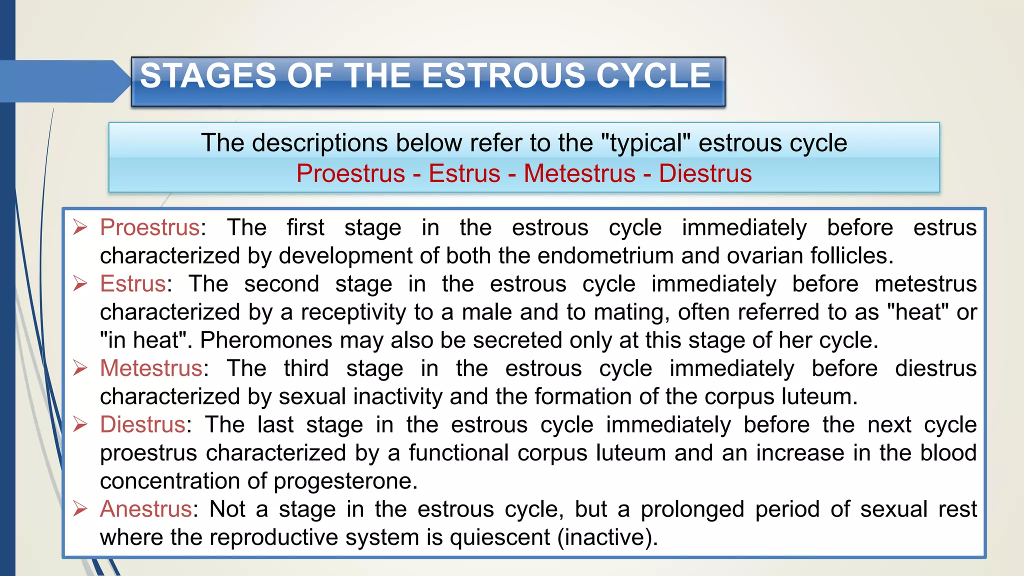 Estrous Cycle and Its Hormonal Regulation | PPTX