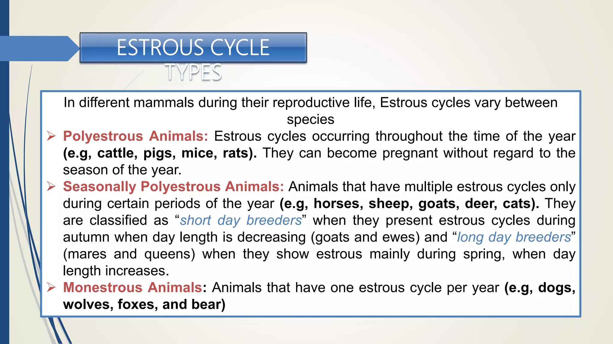 Estrous Cycle and Its Hormonal Regulation | PPTX