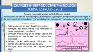 Estrous Cycle and Its Hormonal Regulation | PPTX
