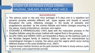 Estrous Cycle and Its Hormonal Regulation | PPTX