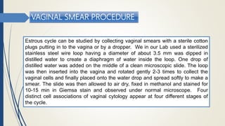 Estrous Cycle and Its Hormonal Regulation | PPTX