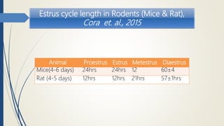 Estrous Cycle and Its Hormonal Regulation | PPTX