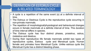 Estrous Cycle and Its Hormonal Regulation | PPTX