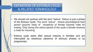 Estrous Cycle and Its Hormonal Regulation | PPTX