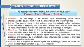 Estrous Cycle and Its Hormonal Regulation | PPTX