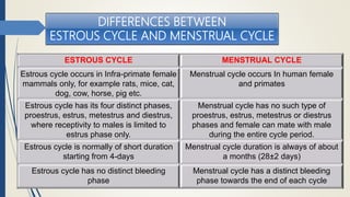 Estrous Cycle and Its Hormonal Regulation | PPTX