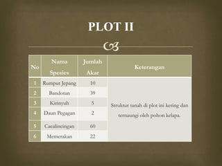 PPT Jenis tumbuhan (Contoh Observasi) | PPTX