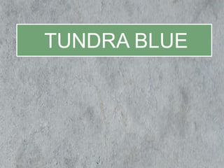 TYPES OF STONE PAVERS | PPTX