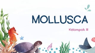 PPT K3_MOLLUSCA-compressed.pdf