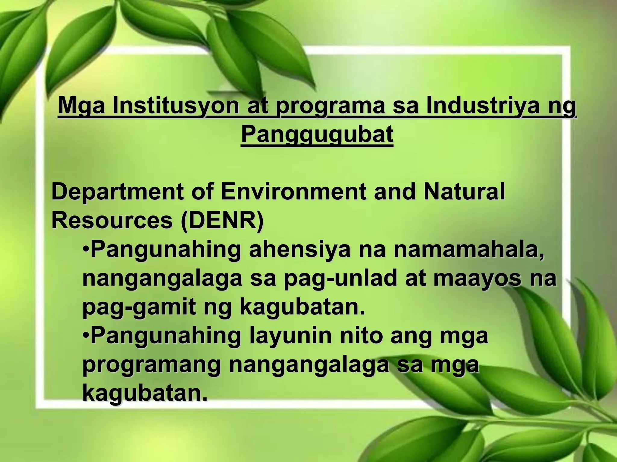 Mga Likas na Yaman " Kagubatan at .pptx